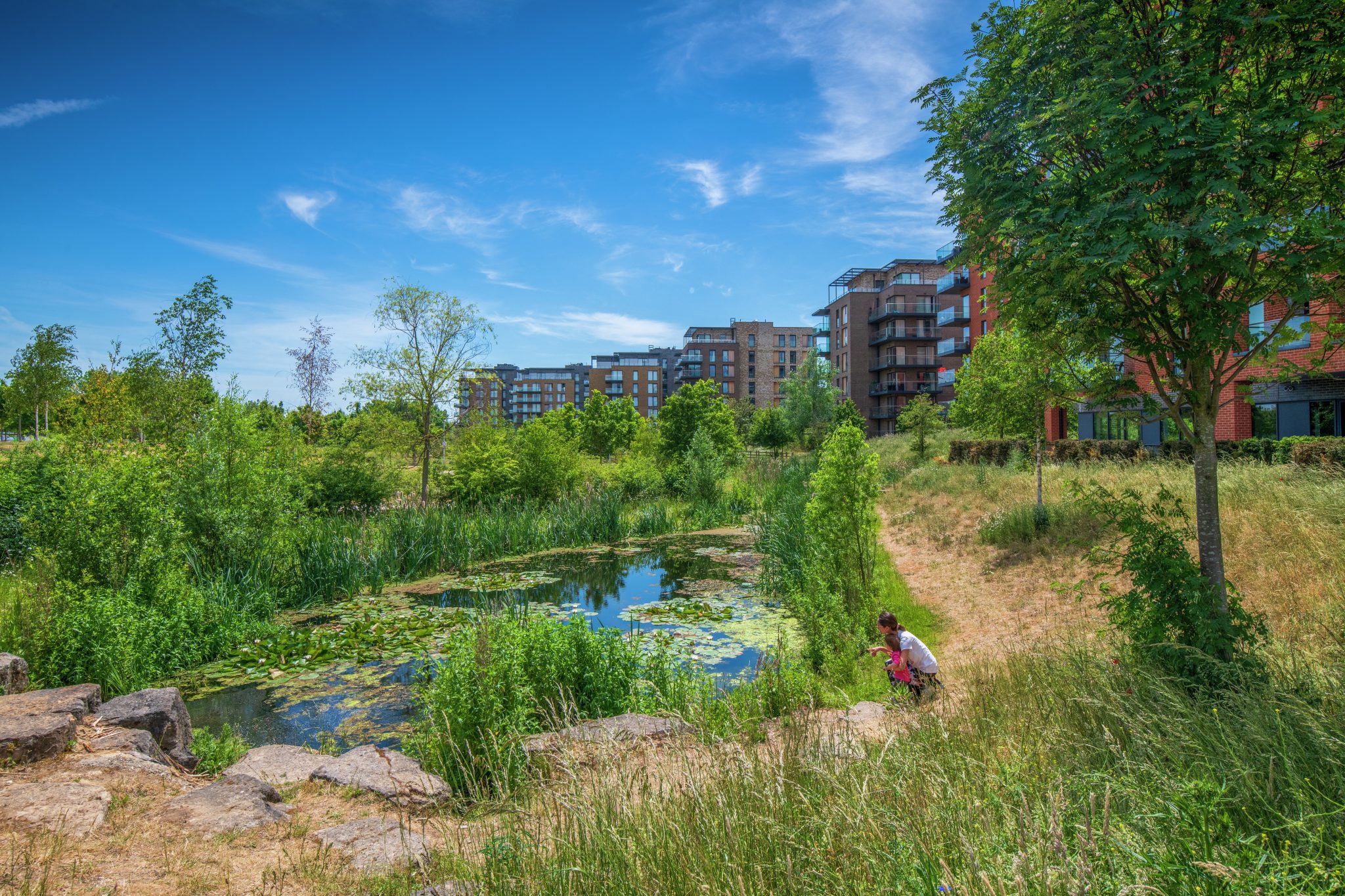 Cator Park – Kidbrooke Village