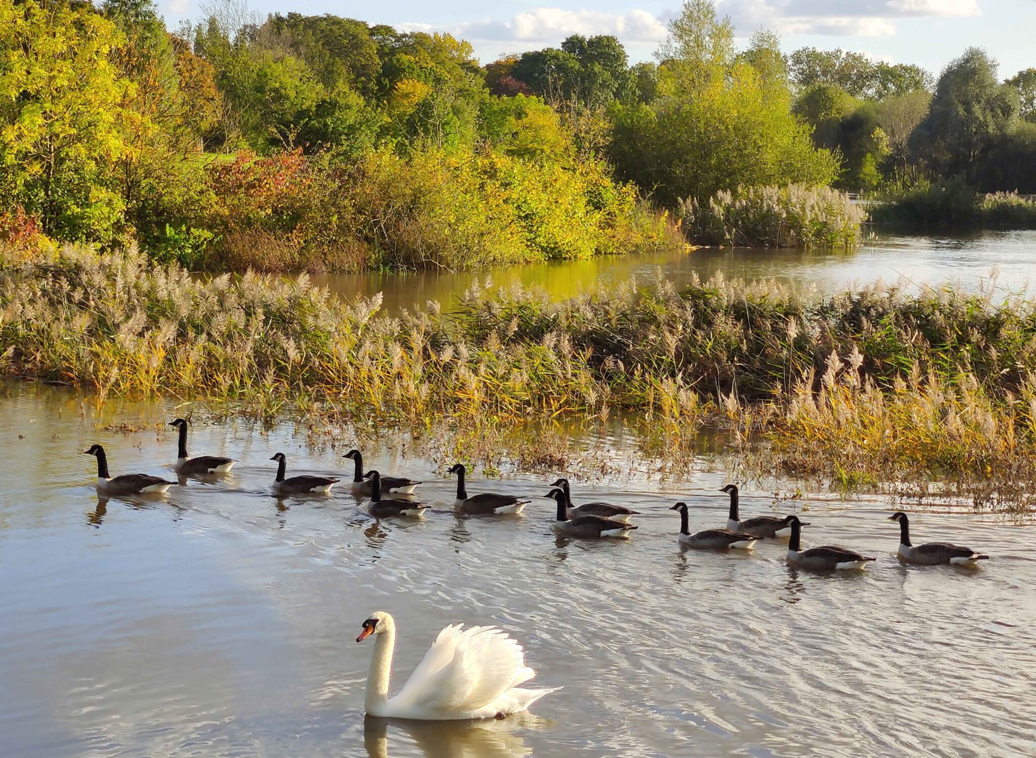 Duchess crowned the winner – Kidbrooke Village